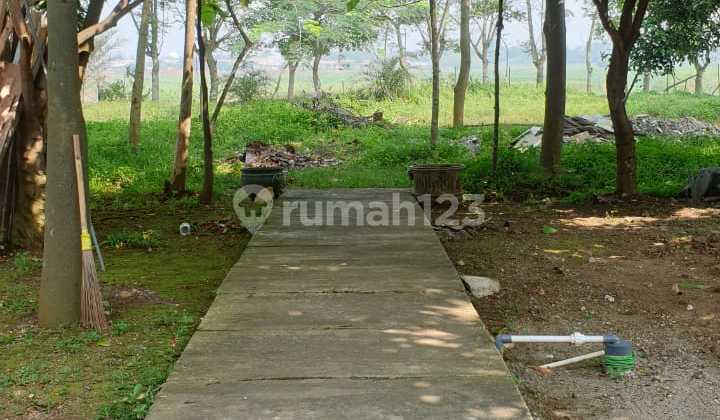 Jual Tanah di Rajeg, Tangerang | Harga per Meter Terbaru