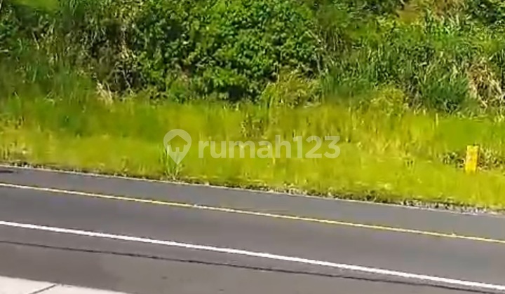 Tanah Sewa Jalan Utama Bedugul Harga Murah | Rumah123