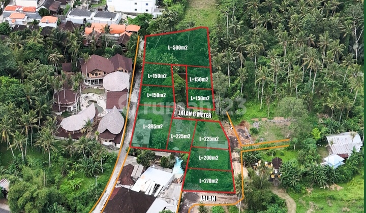 Jual Beli Tanah di Ubud, Gianyar | Harga Tanah per Meter 2025