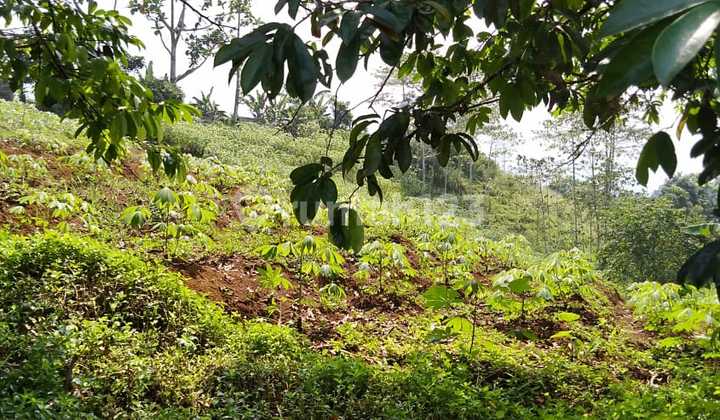 Jual Tanah di Parung Kuda, Sukabumi | Harga per Meter Terbaru