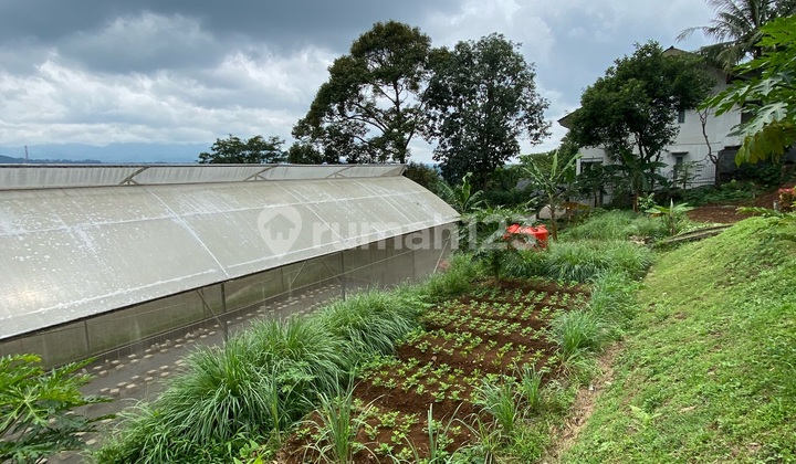 Vila Green House Shm Di Gunung Geulis Bogor | vls59083