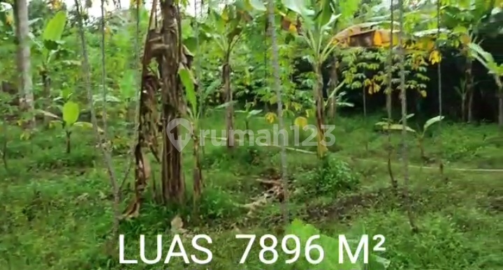 Tanah Strategis Lokasi Cibeureum Tasimalaya | Rumah123