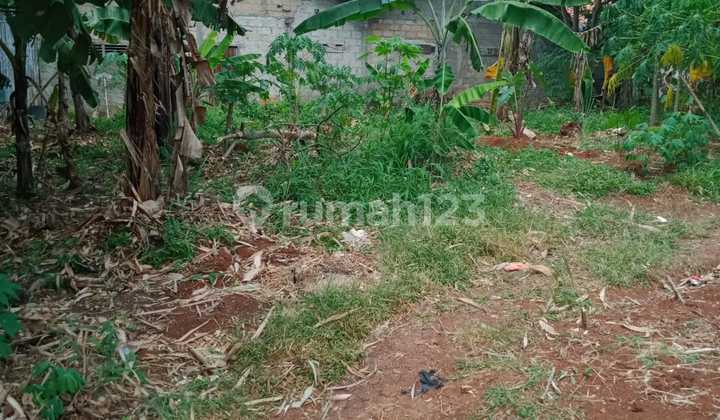 Tanah 210 m2 akses motor jual murah Kalibaru Depok | Rumah123