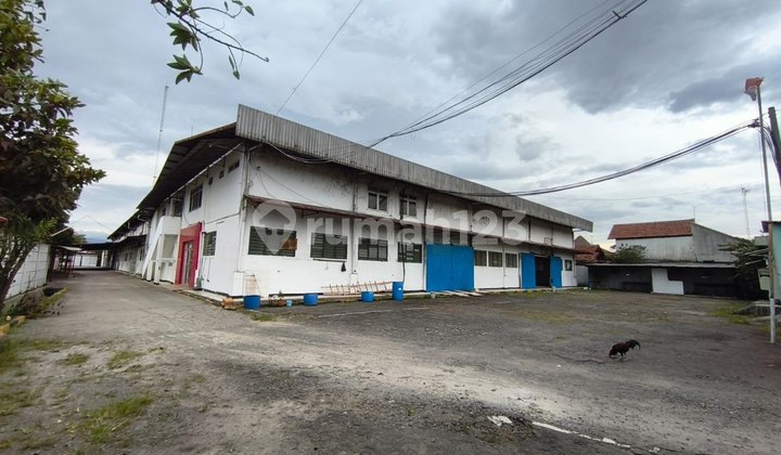 Disewakan Gudang Sapan 1 Hektar: Fasilitas Lengkap, Parkir 25 Truk ...