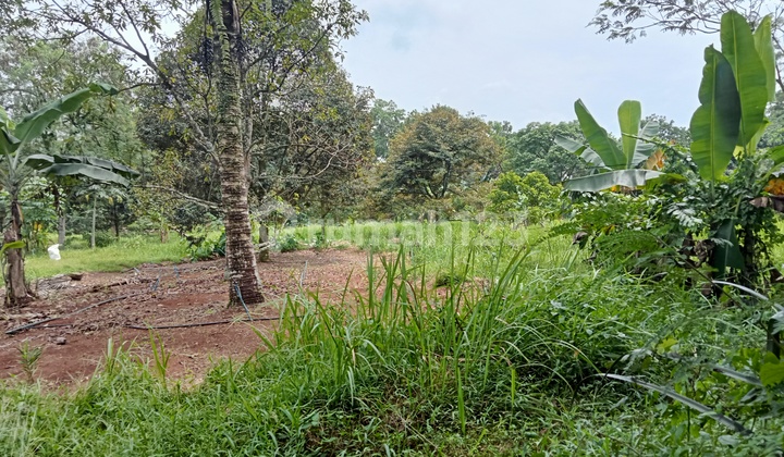 Jual Tanah di Rumpin, Bogor | Harga per Meter Terbaru