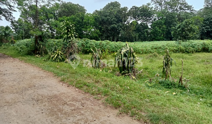 Jual Tanah di Rumpin, Bogor | Harga per Meter Terbaru