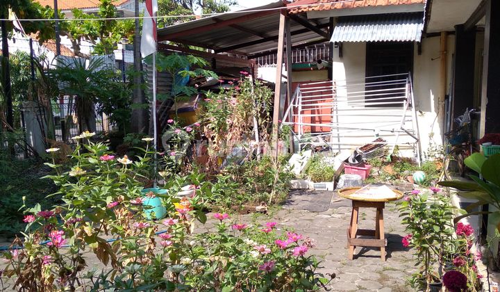 Dijual Rumah Hitung Tanah di Jl. Halmahera Semarang | Rumah123
