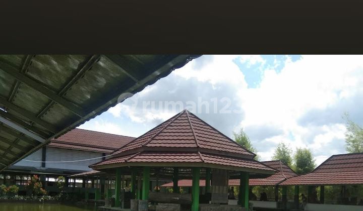 Jual Ruang Usaha di Ampelgading, Pemalang | Daftar Terbaru 2024