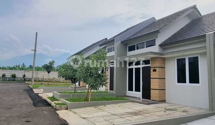 Rumah Dijual Syariah di Ciomas, Bogor | Terbaru 2024