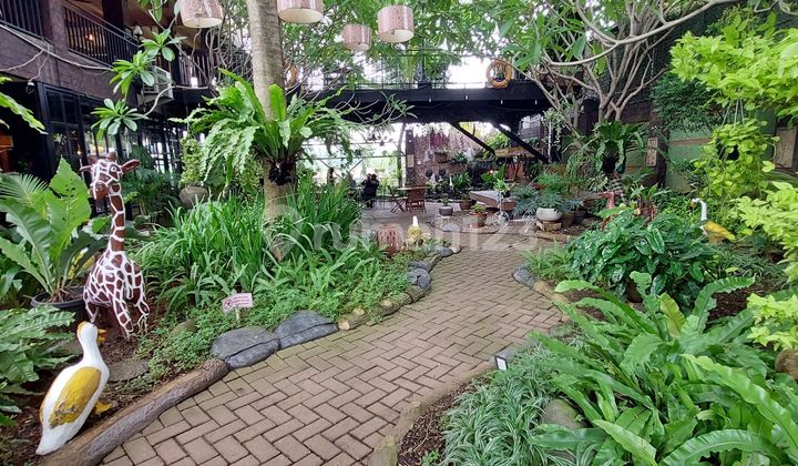 Jual Resto dan Cafe view Sawah masih berjalan berikut peralatan dan ...