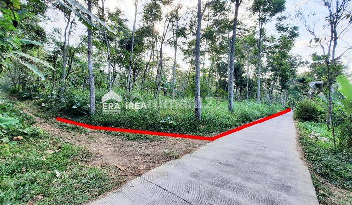 Jual Tanah di Ampel, Boyolali | Harga per Meter Terbaru Jual Tanah di Ampel, Boyolali | Harga per Meter Terbaru