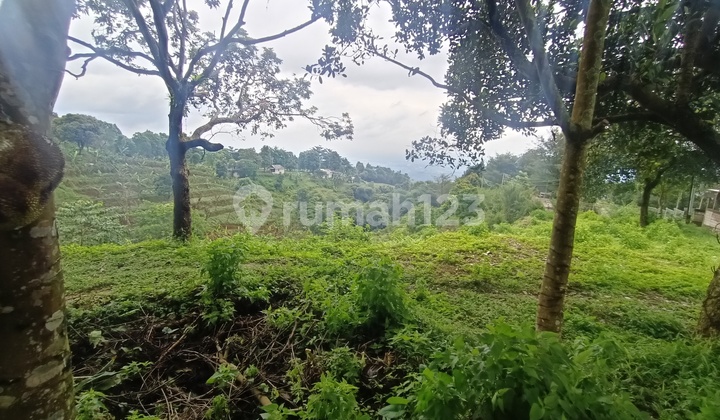 Tanah dijual di Tajur Halang, Bogor | rumah123.com