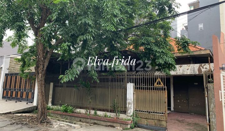 Rumah dengan Taman Dijual di Genteng, Surabaya | Terbaru 2024