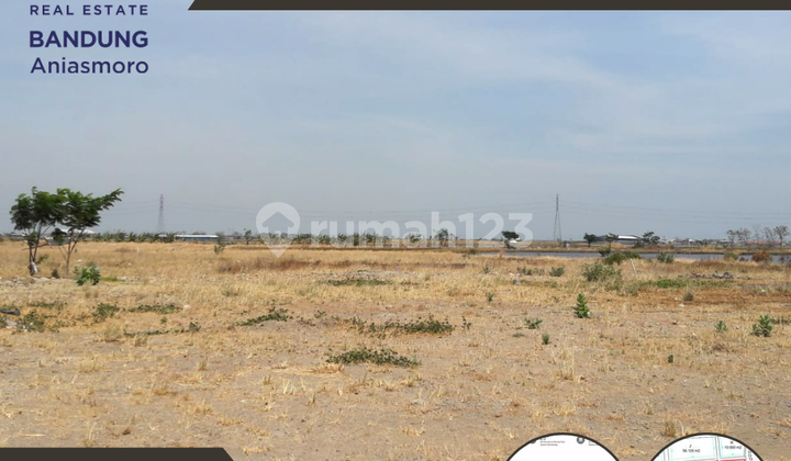 Jual Tanah di Sayung Harga Dibawah 50 juta | Rumah123