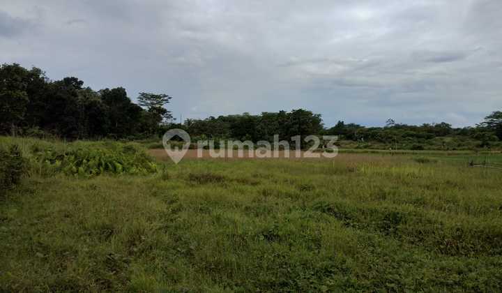 Jual Tanah di Rumpin, Bogor | Harga per Meter Terbaru
