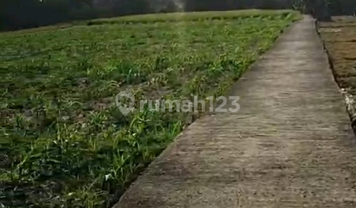 Tanah Dijual Dibawah 200 juta di Kelating | Terbaru 2025