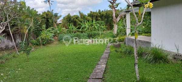 Tanah Luas View Pantai Cocok untuk Resort Lokasi Sekotong Lombok Barat ...