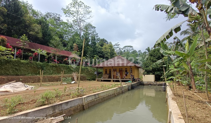 Tanah dan Villa Berikut Kolam Ikan Lokasi Strategis Samping Jalan ...