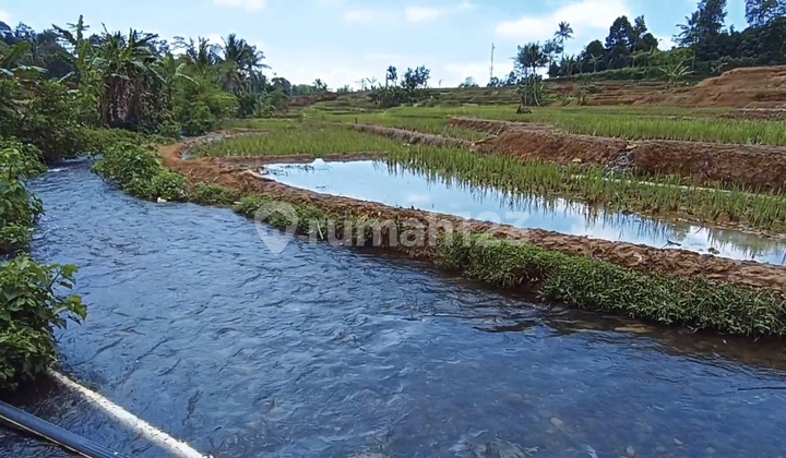 Kolam Ikan Samping Jalan Mobil Pinggir Sungai Jernih | Rumah123