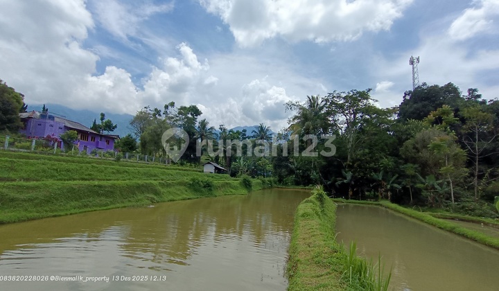 Kolam Ikan Siap Pakai di Area Pegunungan | Rumah123