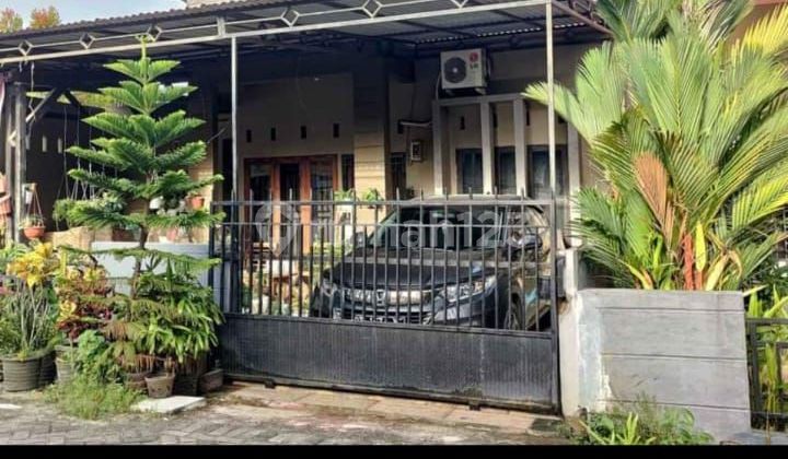 Rumah Dijual di Baruga, Kendari | Harga Terbaru 2024