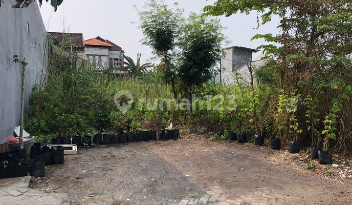 Tanah Dijual di Sedati Harga Dibawah 500 Juta | Terbaru 2025