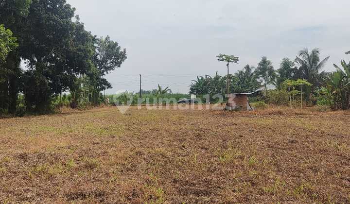 Jual Tanah di Deli Serdang | Harga Terbaru 2024