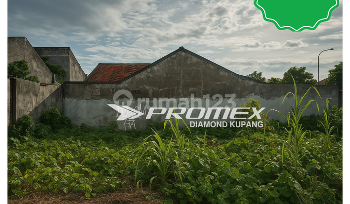 DIJUAL TANAH AREA LILIBA KOTA KUPANG | Rumah123