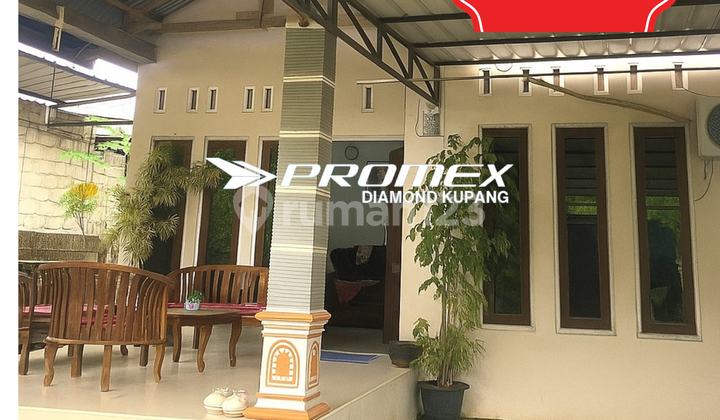 Rumah Dijual di Kupang | Harga Terbaru 2025