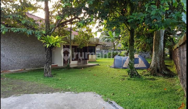 Dijual Tanah Bonus 3 Rumah Tinggal Ada Tanaman Buah Produktif Lokasi ...