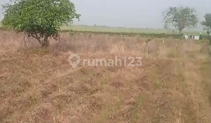 Tanah Dekat Area Pantai Hurip Lokasi Strategis | Rumah123