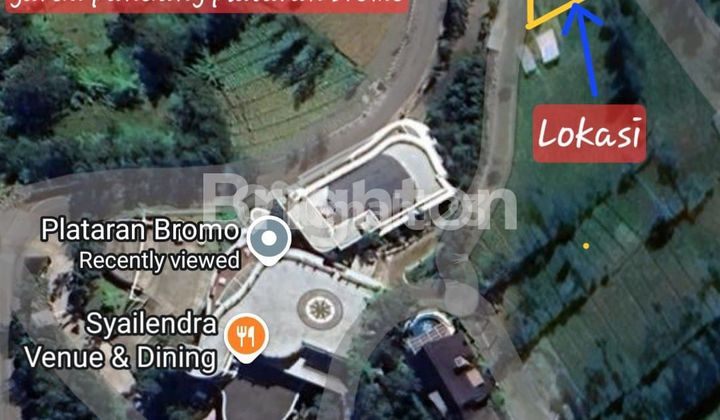 Tanah Dijual Dibawah 500 juta di Tosari | Terbaru 2025