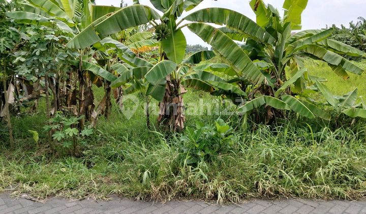Rumah Zona Kuning Ganting Gedangan Sidoarjo | Rumah123