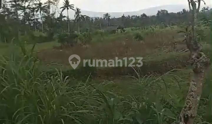 Tanah Dijual di Rendang Harga Dibawah 200 Juta | Terbaru 2025