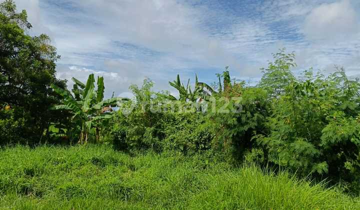 Tanah Strategis 2,343 Hektar Area Denpasar Gilimanuk | Rumah123