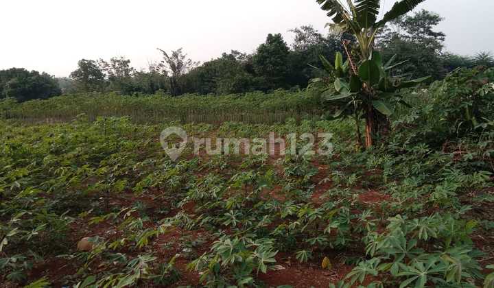 Tanah di Jl Raya Rumpin, Bogor SHM 4.747 m² | Rumah123