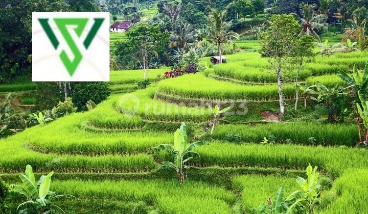 Tanah murah 26,5jt/m Embong Gayam | Rumah123