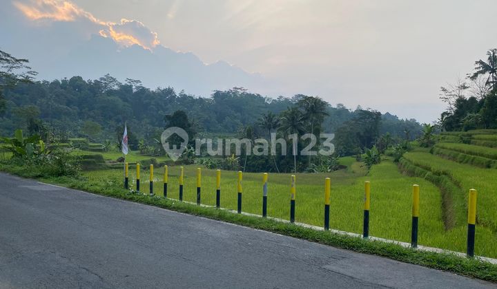 Tanah Sawah Dijual di Wanayasa, Purwakarta | Harga Per Meter 2025