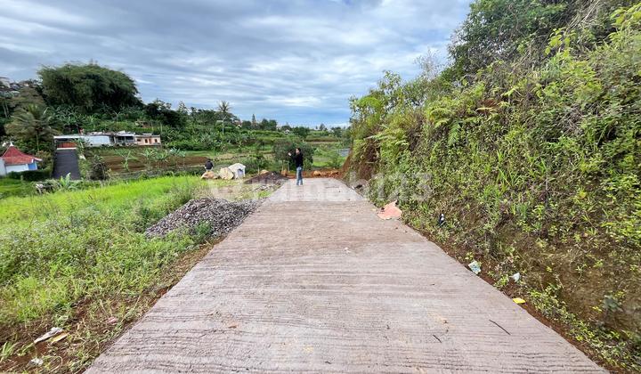 Tanah Dekat Taman Safari Strategis Potensial Best View | Rumah123