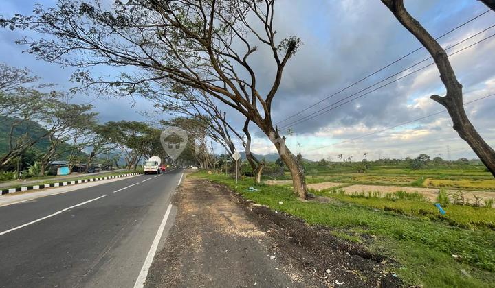 Forsale Cheap Land 5,96 Are In Main Road By Pas Mantra Kusamba ...