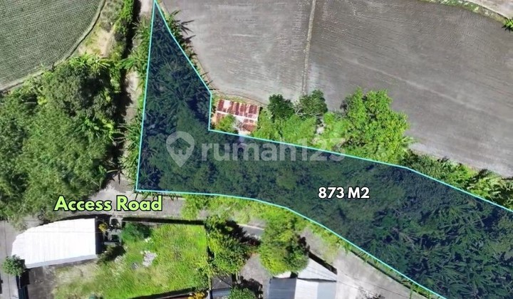 873 M2 Tanah Dekat Dtw Tanah Lot, di Beraban | Rumah123