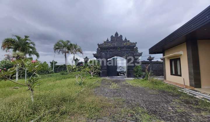Jual Tanah di Tabanan Harga Dibawah 50 juta | rumah123.com