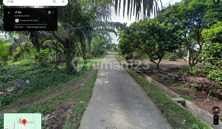 Jual Tanah Kebun di Deli Serdang | Harga Terbaru