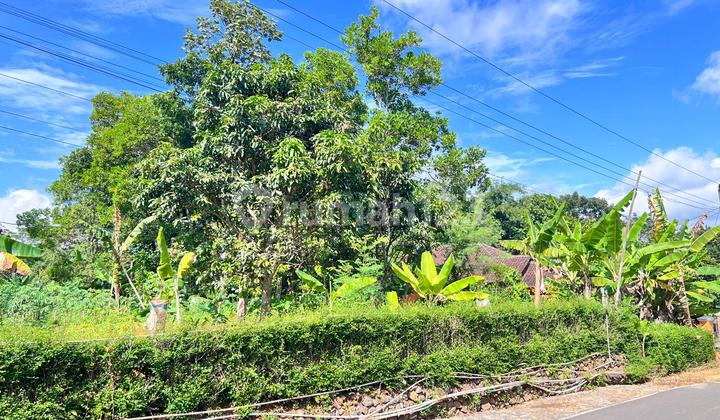 Tanah 800M² Cocok untuk Rumah Tinggal Karanganyar | Rumah123