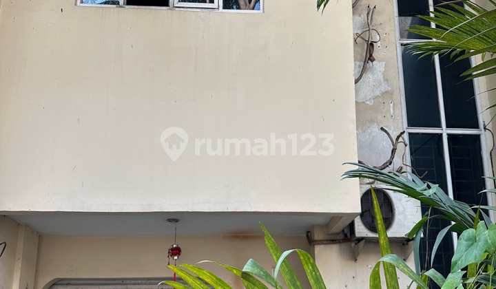 Rumah 3 Kamar Tidur Dijual di Pluit, Jakarta Utara | Terbaru 2023