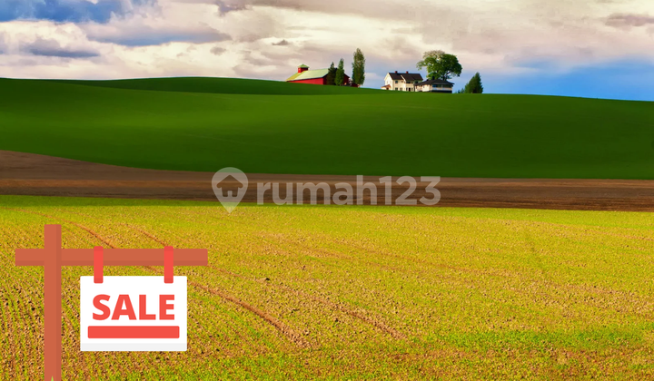 Jual Tanah di Mario Riawa, Soppeng | Harga per Meter Terbaru