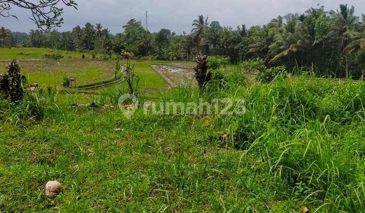 Land For Lease 48 Are In Kedisan - Tegallalang - Ubud | Rumah123