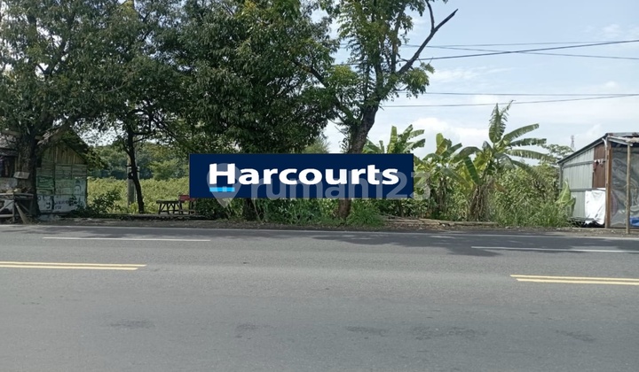 Tanah Pekarangan Strategis Dkt Dgn Hotel Lor In di Colomadu Aolo | Rumah123