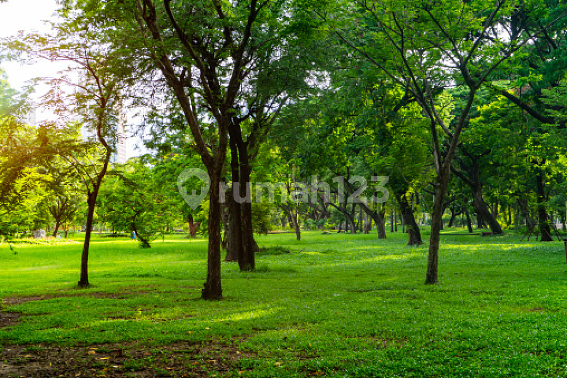 Yamala Haus | Info Harga & Pemesanan