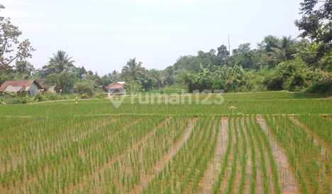 Jual Tanah di Parung Kuda, Sukabumi | Harga per Meter Terbaru